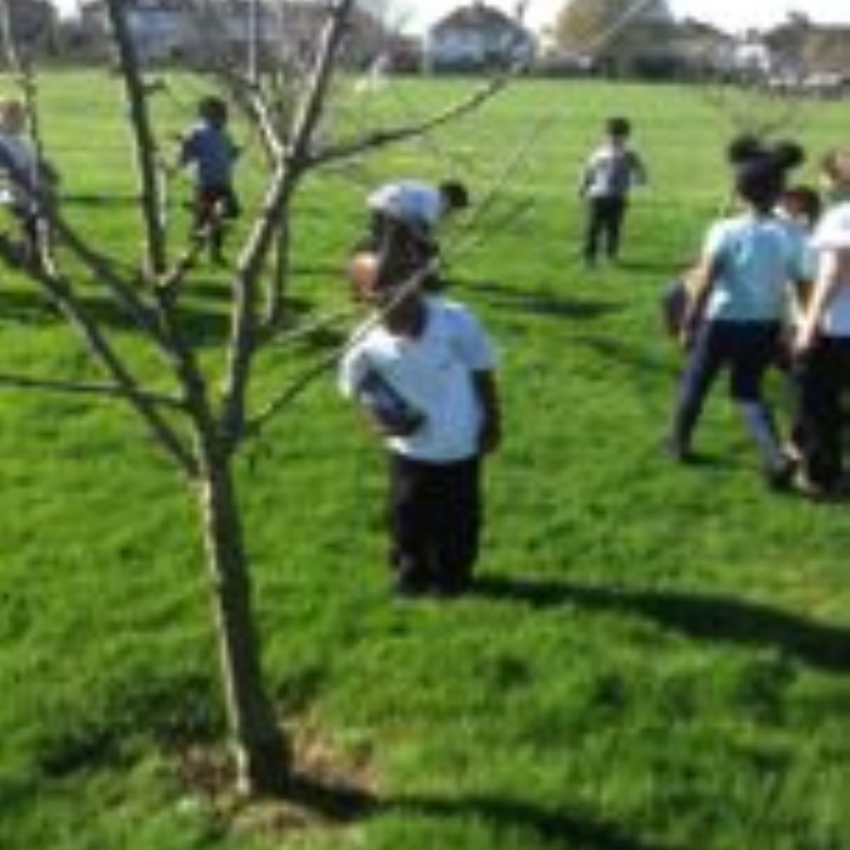 Hazelbury Primary School - Hazelbury's Science Spectacular